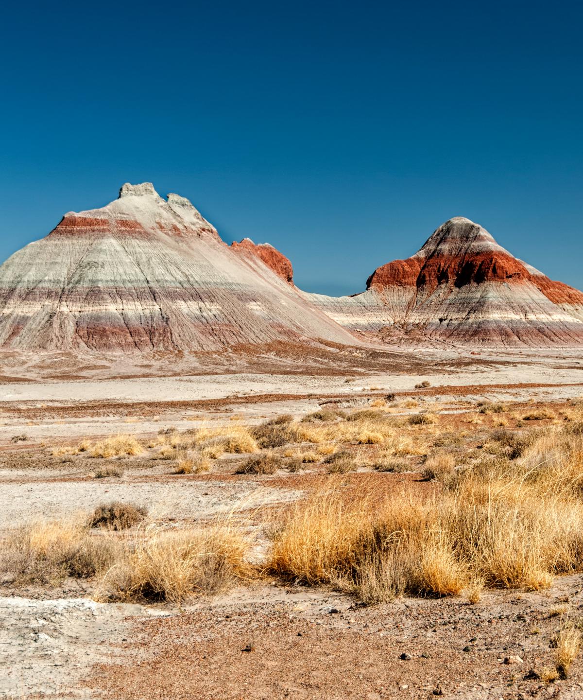 Reiser til Route 66 - Dra på roadtrip på Route 66 i USA