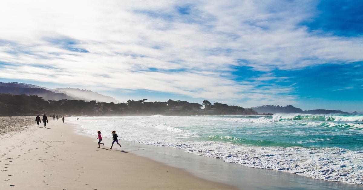 Californias perler: Guide til Santa Cruz, Monterey og Carmel