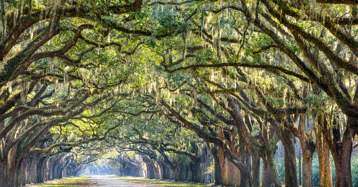 Bilferie i Sørstatene - De beste rutene